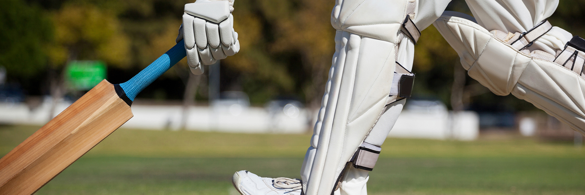 Have your say on cricket in Monash | Shape Monash