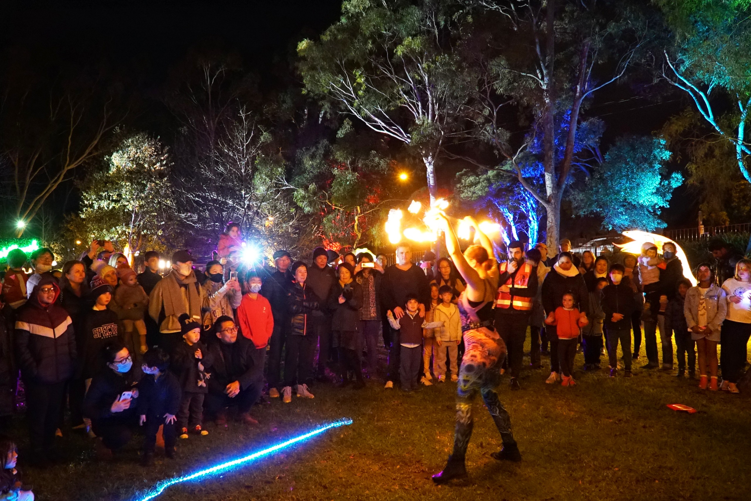 Creative Programming Review | Shape Monash