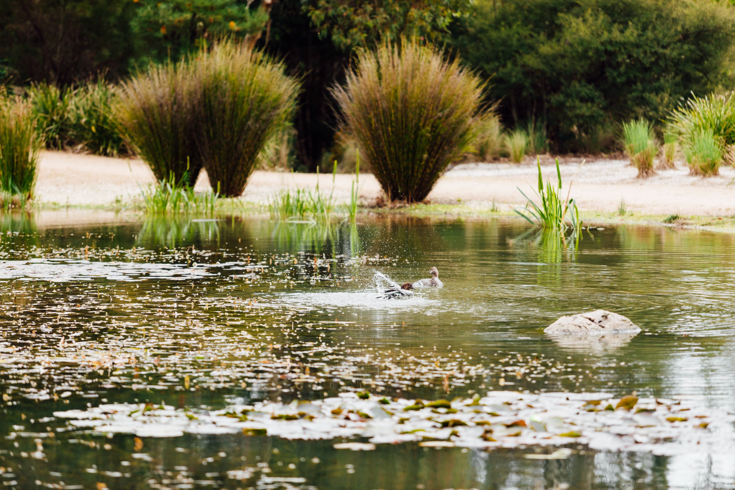 Monash Flood Mapping Project | Shape Monash